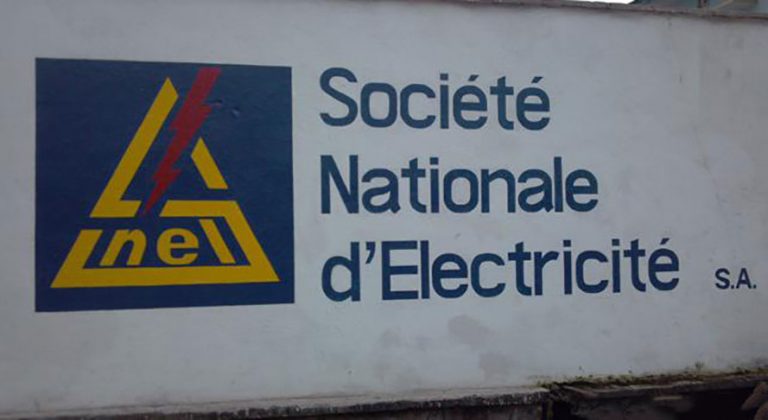 RDC : 688 agents de la SNEL bénéficient de la promotion en grade - Actu RDC